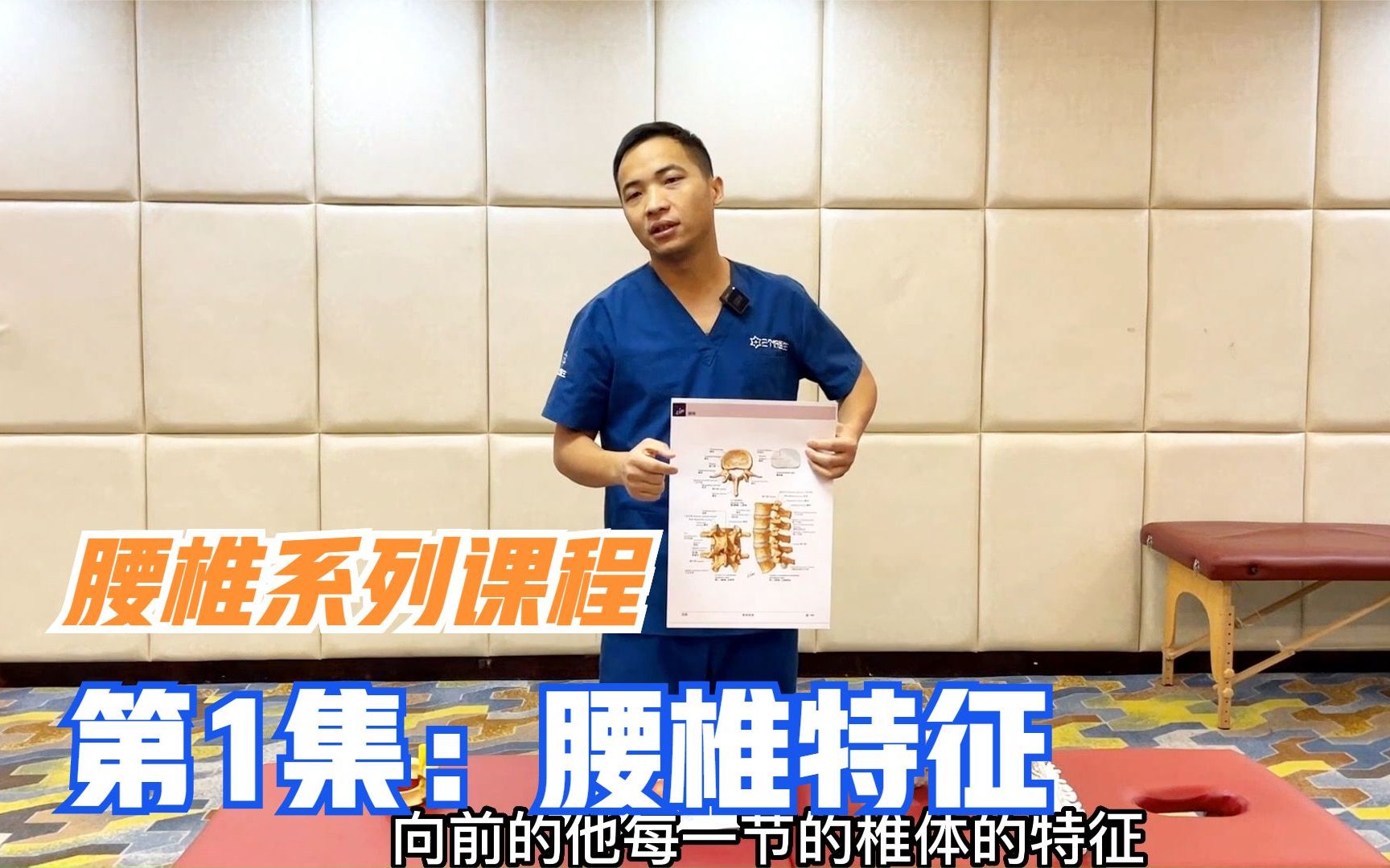 9分钟详讲腰椎特征,如椎体,棘突,关节突等,正骨学习必备基础