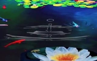 a赵雷-程艾影 伴奏 高音质和声伴奏
