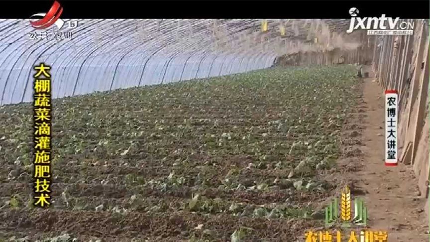 使用大棚蔬菜滴灌系统,主管不设与整体布局,怎样设计最合理?