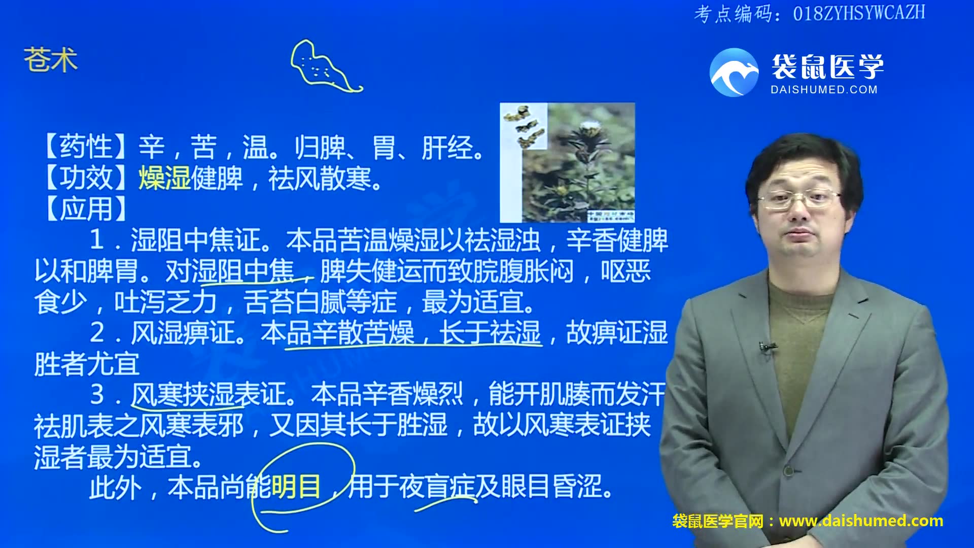 每天认识一味药——苍术