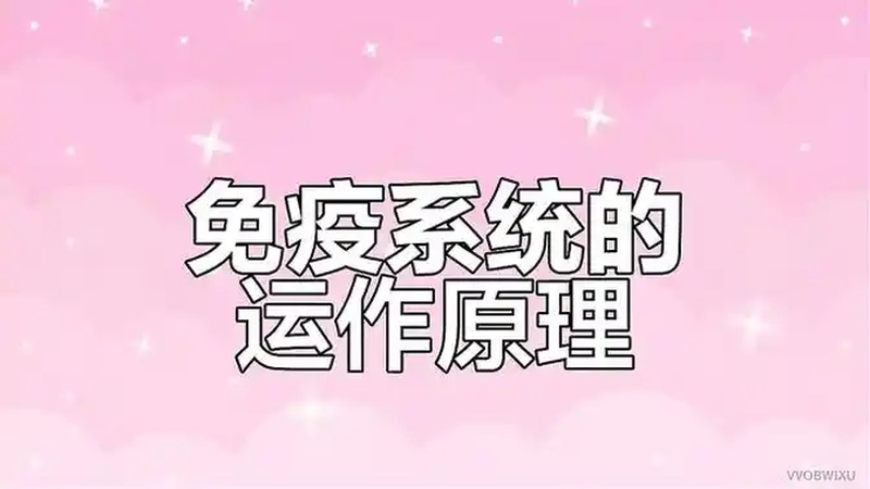 免疫系统如何与病毒细菌作战?揭秘人体防御机制