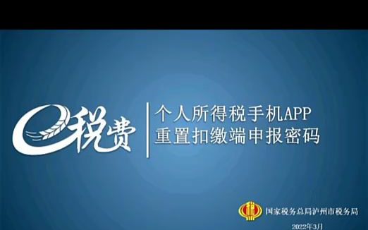 自然人电子税务局扣缴端—重置扣缴端申报密码