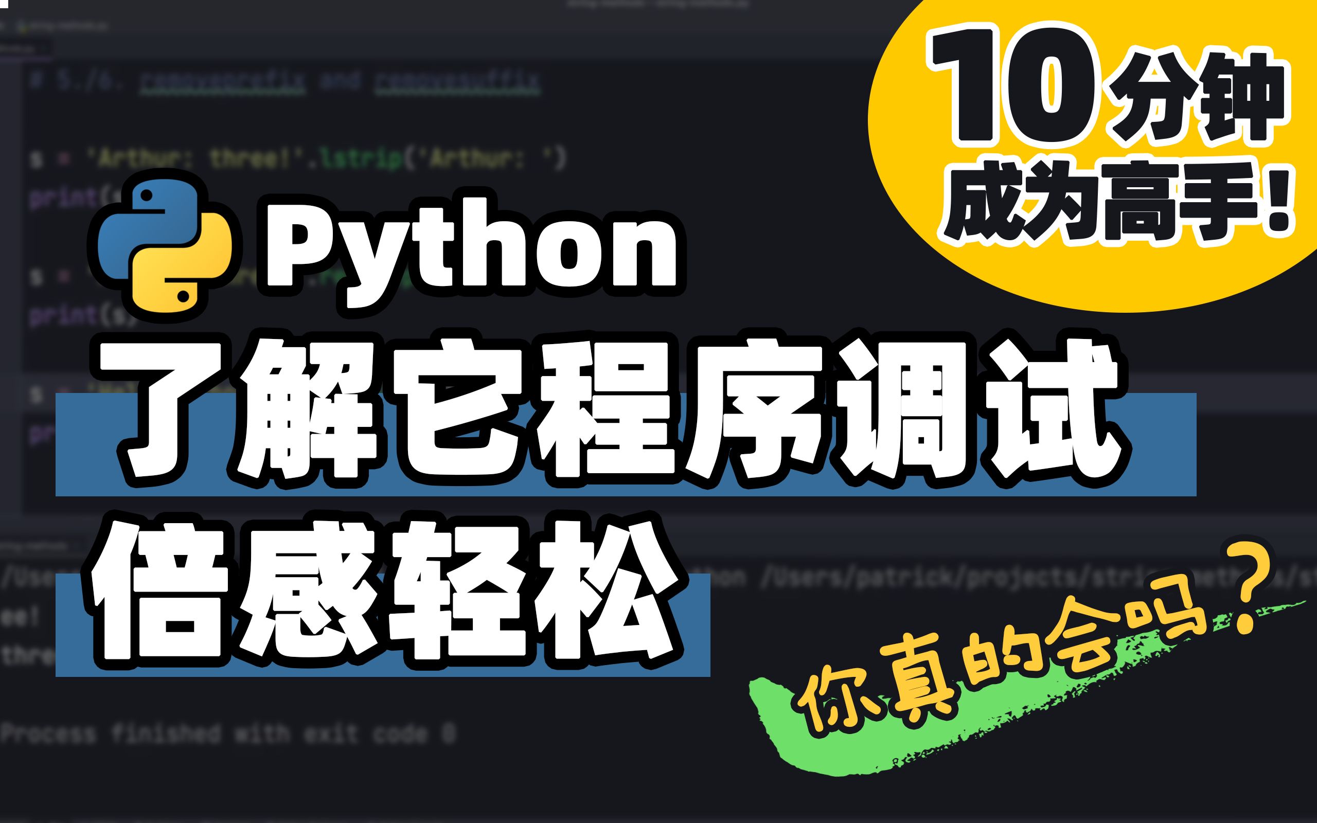 【Python】 Debug从此缩短数小时 | 调试中的怪骚操作 | Python冷知识 | ...