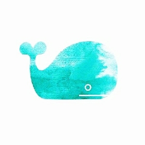 鲸与鱼鱼 