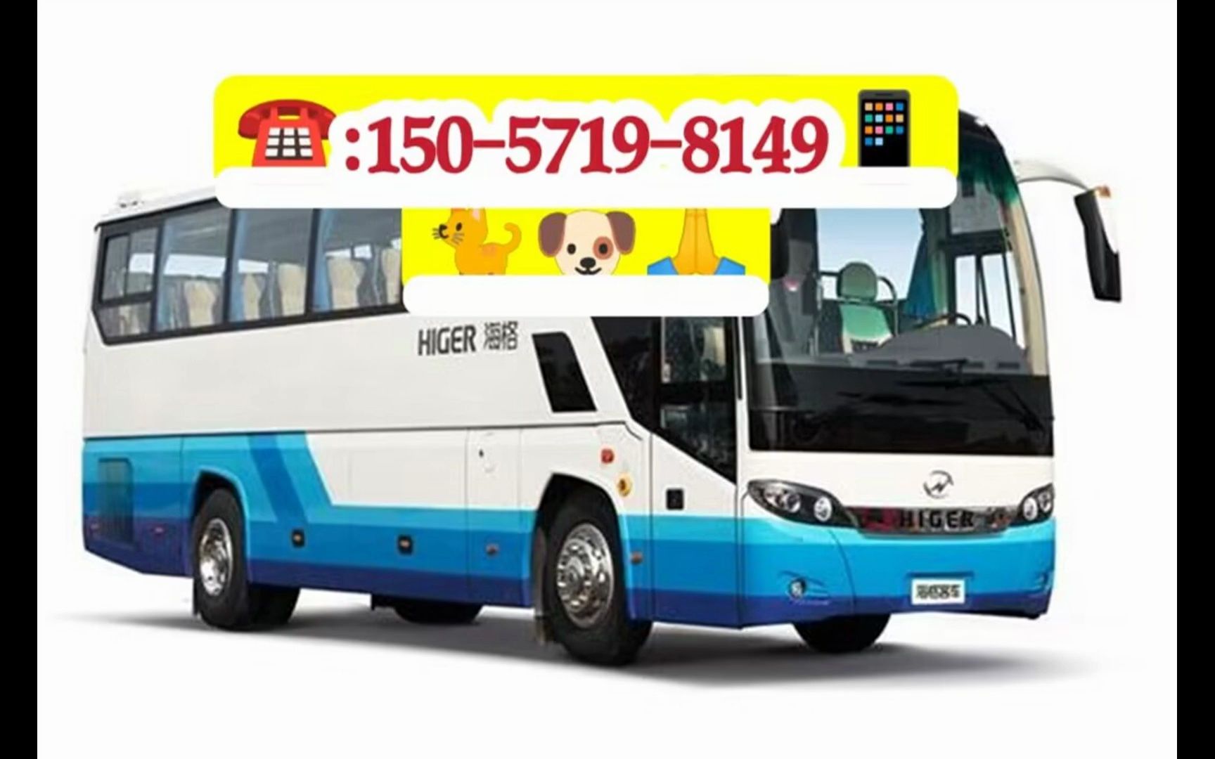 杭州到漳浦大巴票价查询+汽车客车+票价/咨询:150-5719-8149