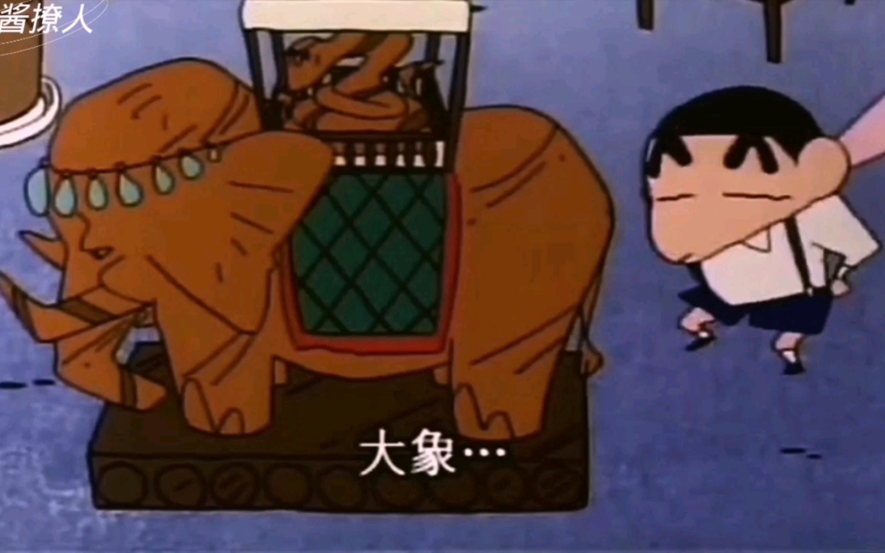 蜡笔小新:小新看见大象就控制不住自己,大象舞必须安排上