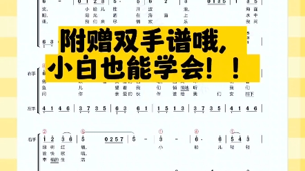 《让我们荡起双桨》即兴伴奏