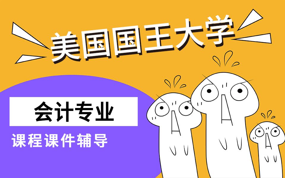美国国王大学本科研究生会计专业Accounting课程课件补习