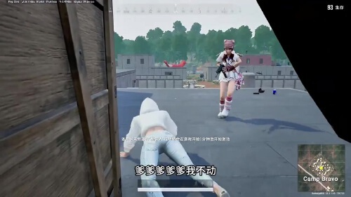 每一帧都是教学绝地求生吃鸡