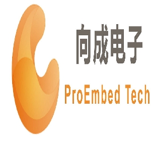 向成电子 
