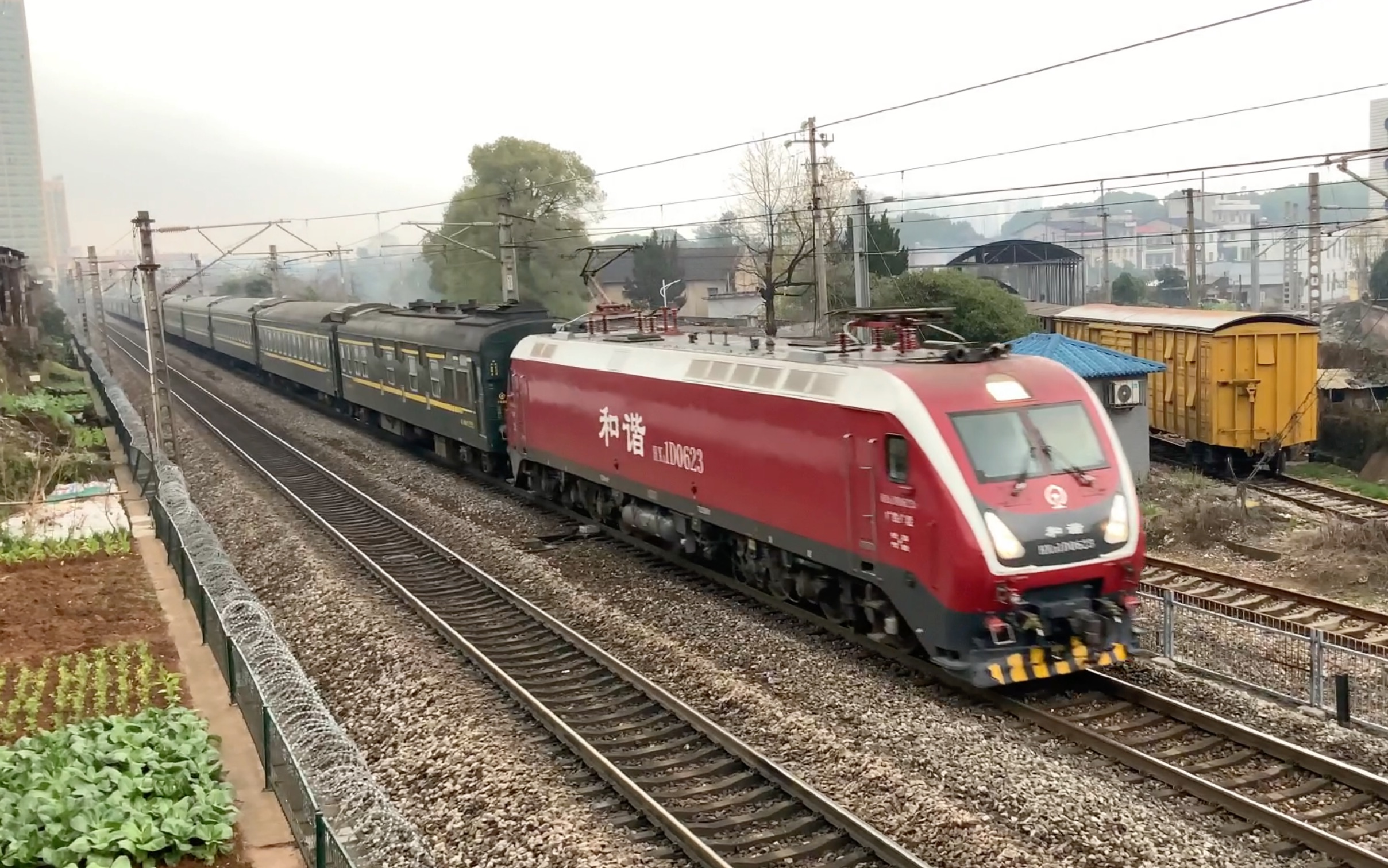 T290和K770,衡阳火车站旁的天桥拍车