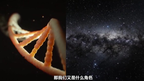探索宇宙意识:科学家提出巨型大脑模型理论