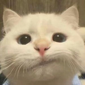 头顶发光照谁谁慌 