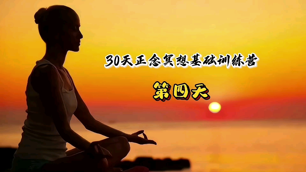 ...训练营完整课程,不是体验课,第四天#心灵疗愈 #正念 #心理咨询师占磊