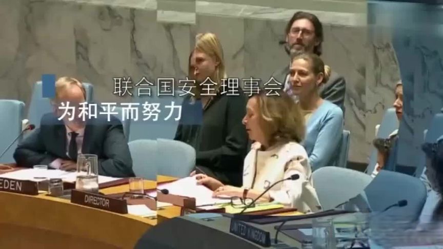 联合国安全理事会的组成和由来