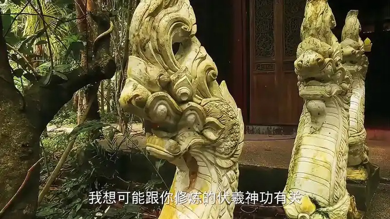奇幻修真小说 极道金丹 第六章 入世修行(3)