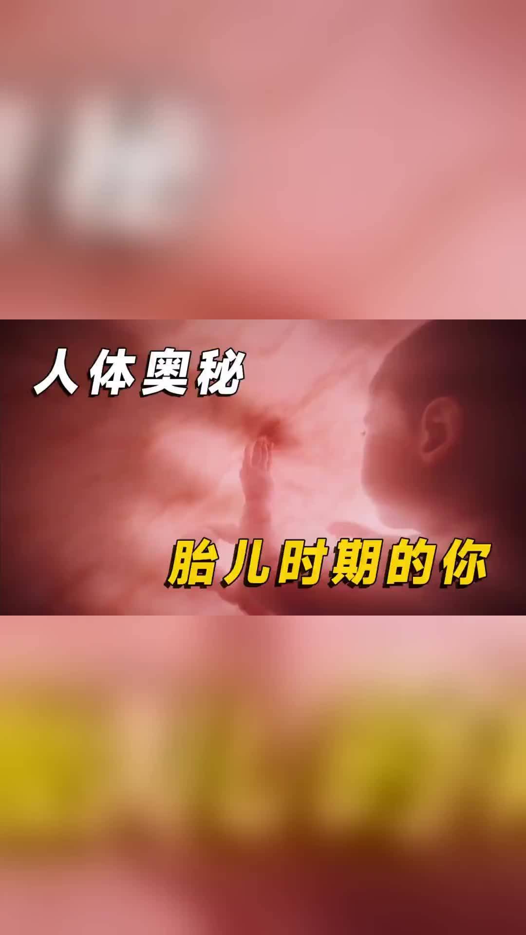 从单个细胞到生命之旅,了解胎儿在妈妈肚子里的发育过程