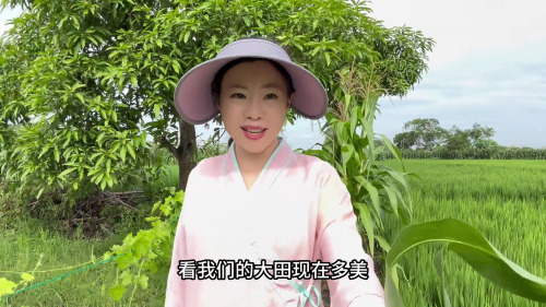 回到印尼就是满眼绿色,瓜果蔬菜好喜人