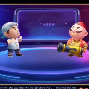 海南的老王 
