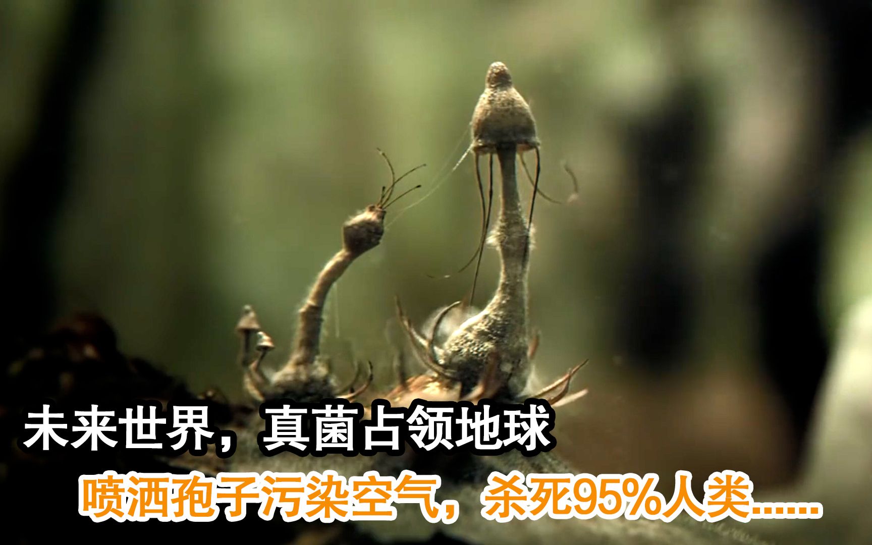 大学生制作的震撼短片,有毒真菌疯狂繁殖,几年后人类几乎灭绝,速看...