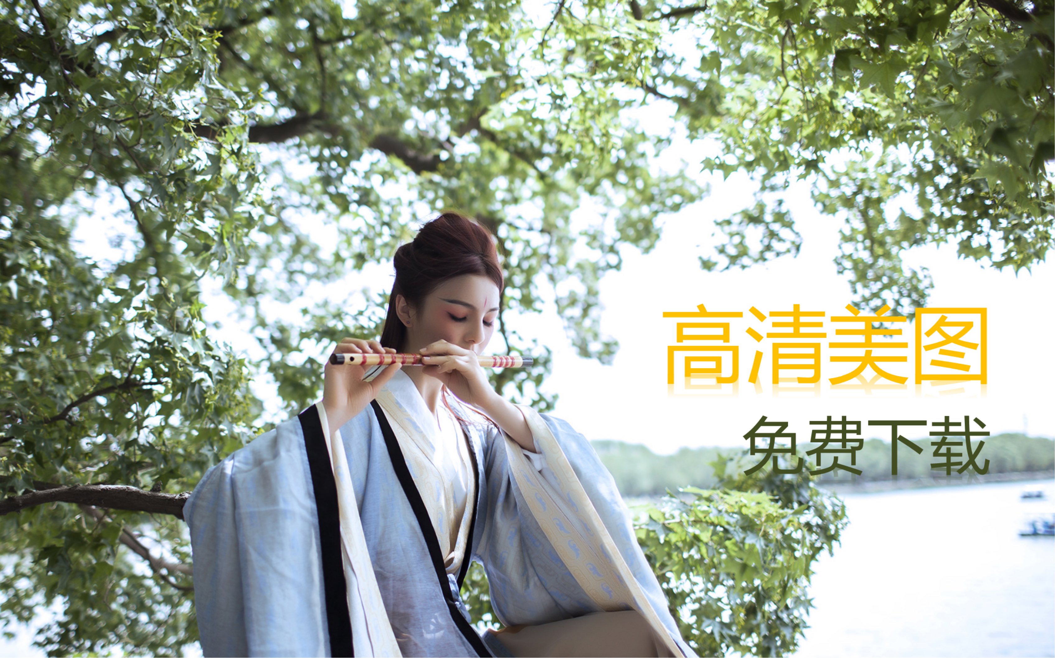 想要免费下载高清无码美图?微软网站就能轻松搞定!