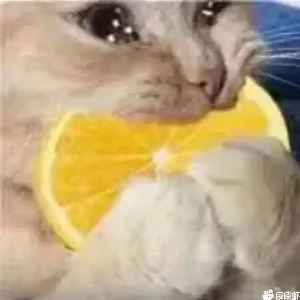 朝阳晚霞不及你 
