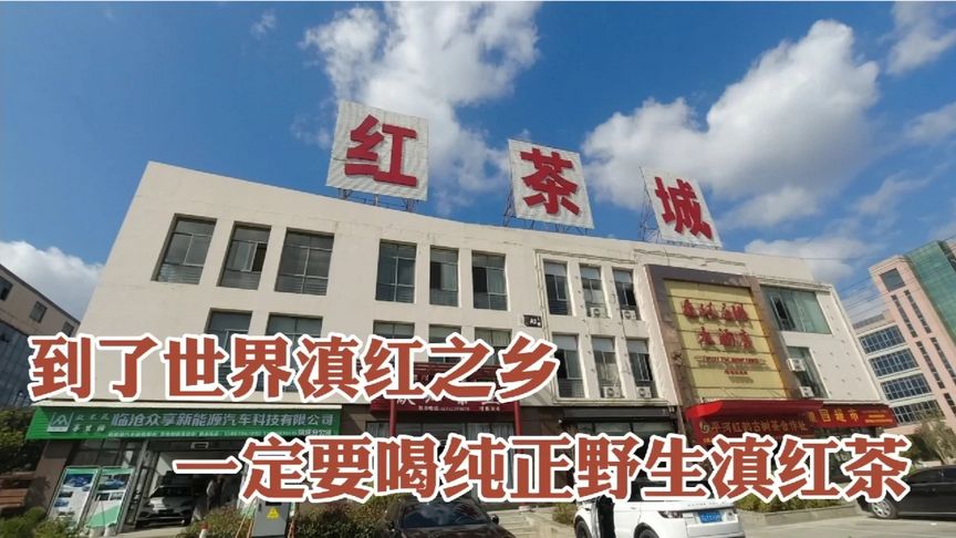 到了世界滇红之乡,去买纯正的野生滇红茶。