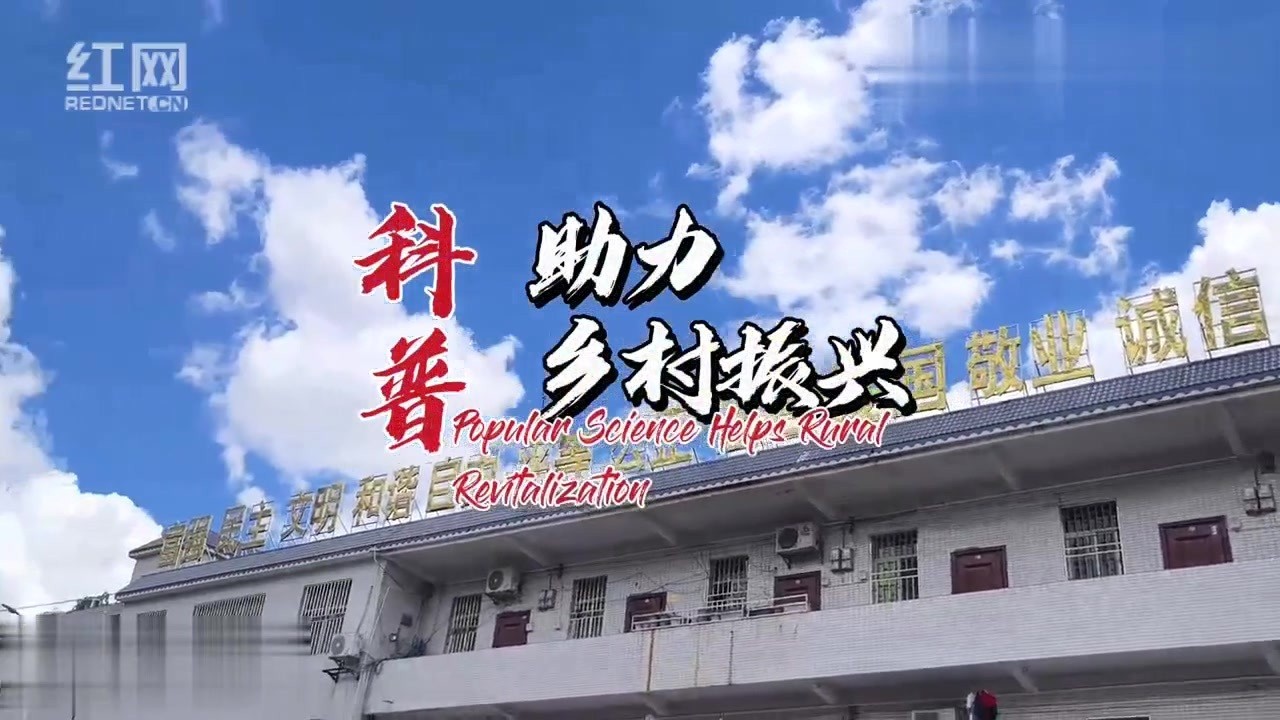 大学生"三下乡":校地联动播种乡村科技梦