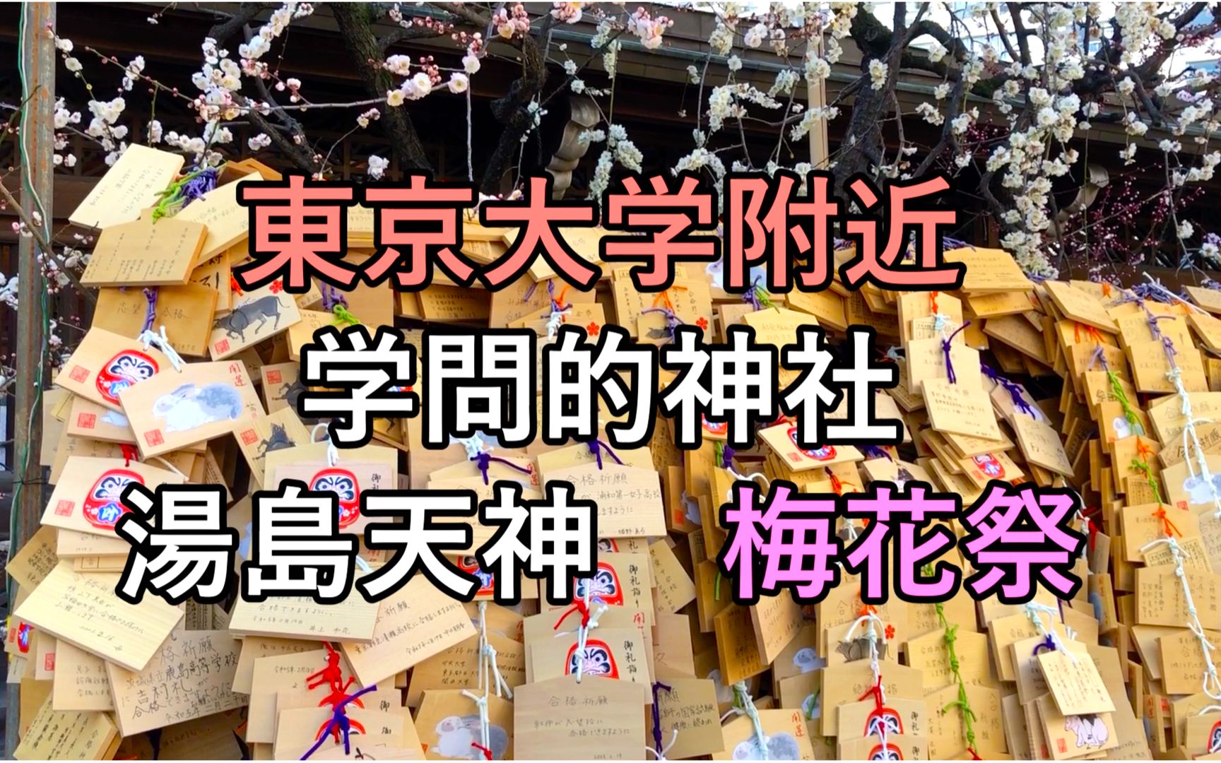 ...去加州理工的绘马 | 可爱人偶Metropon| 摸牛鼻子变聪明 | 神社祭拜方法