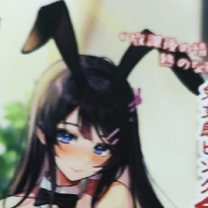 淡然之雅 