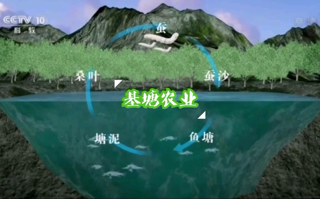 珠江三角洲——生态基塘农业