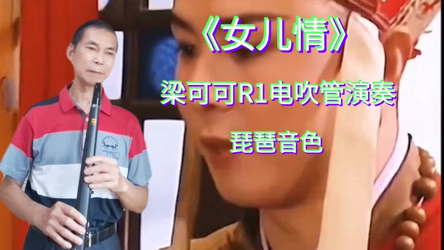 《女儿情》R1电吹管演奏琵琶音色