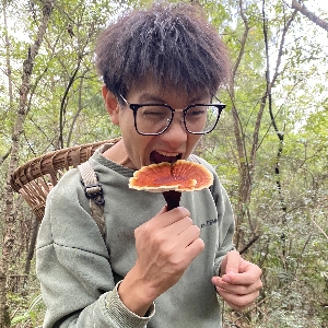 王傲天的修仙日常 