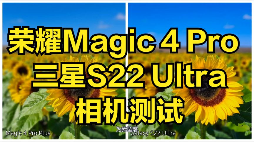 荣耀Magic 4 Pro 三星S22 Ultra 相机测试!