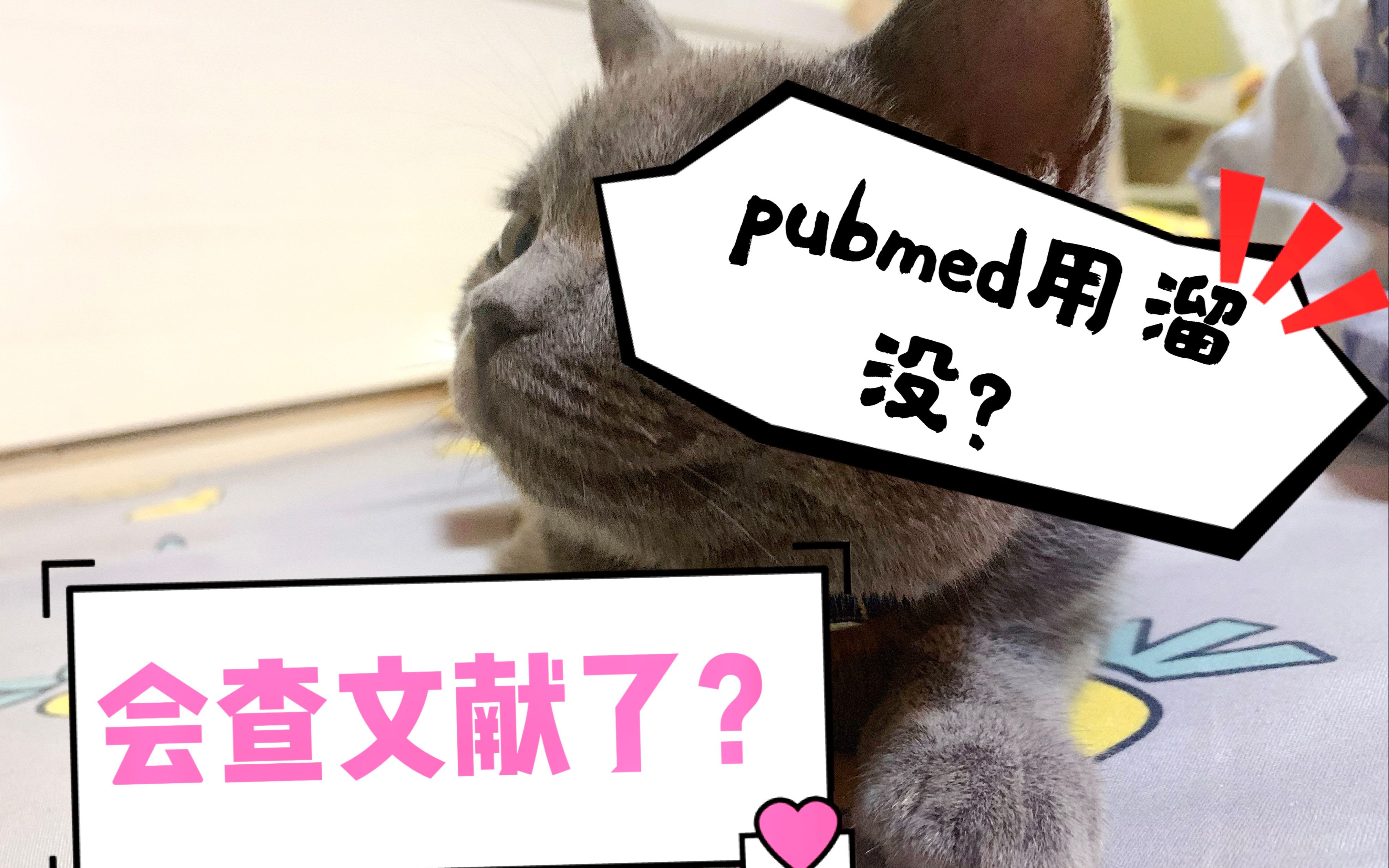 【文献查找】pubmed你真的会用吗？查找文献到底怎么查？