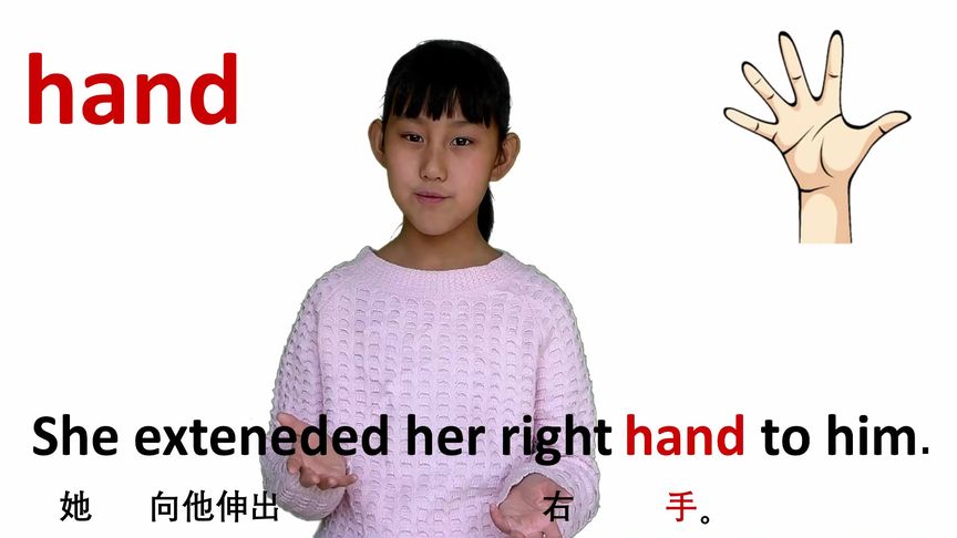 身体篇 hand手 牛津初高中小学少儿童英语单词和例句子 常荣