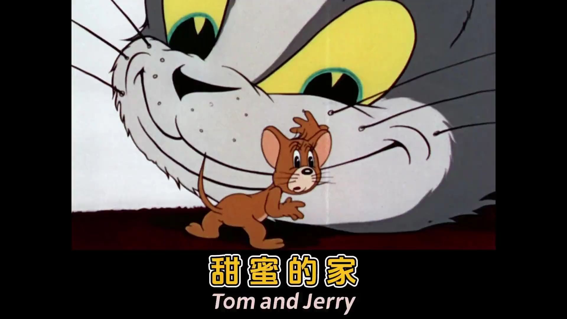 #老动画 #猫和耗子#童年动画