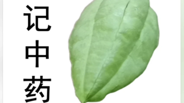 《300中成药》第180剂 八正合剂