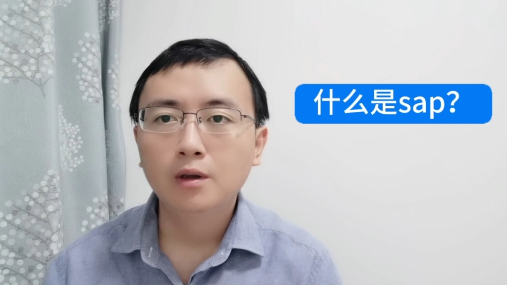 什么是SAP?