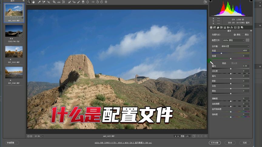 什么是配置文件