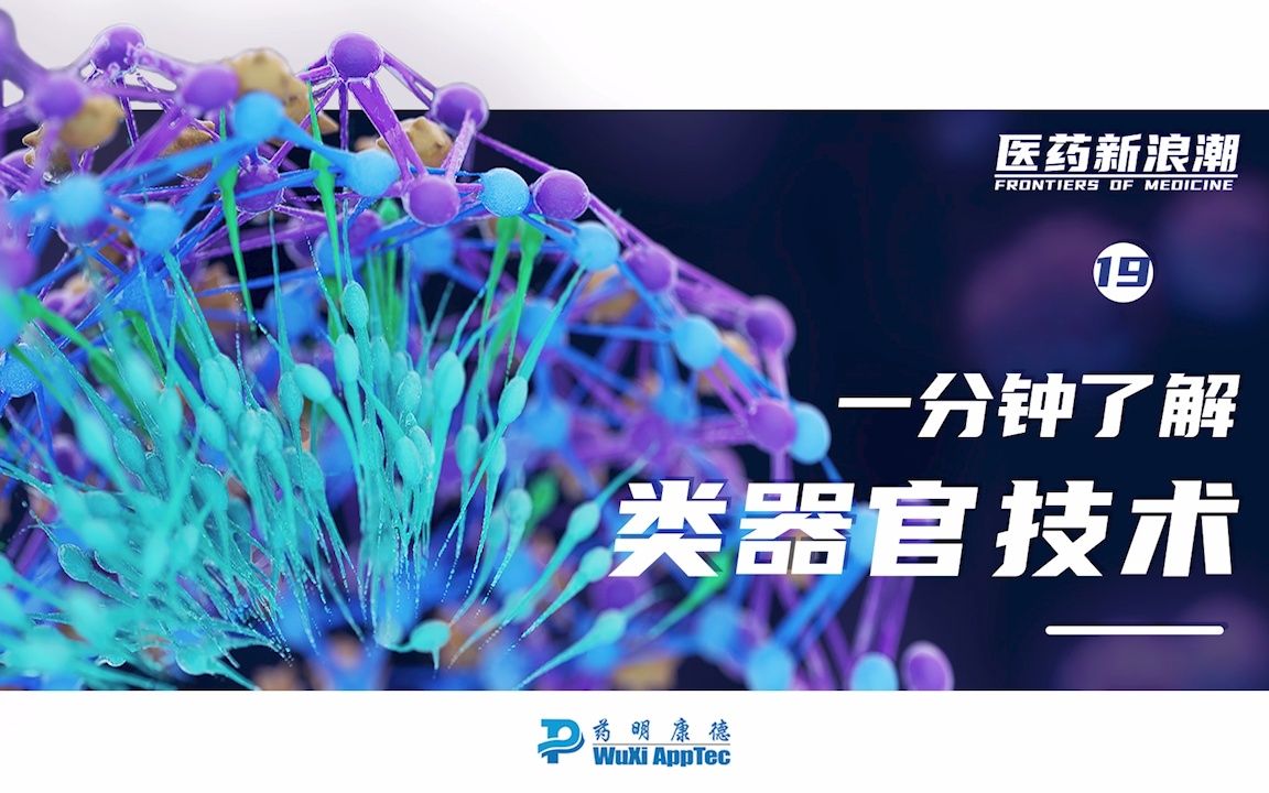 医药新浪潮 |一分钟了解类器官技术