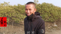 红树林,素称海上森林,大家常吃它的果,忽略它真正的作用