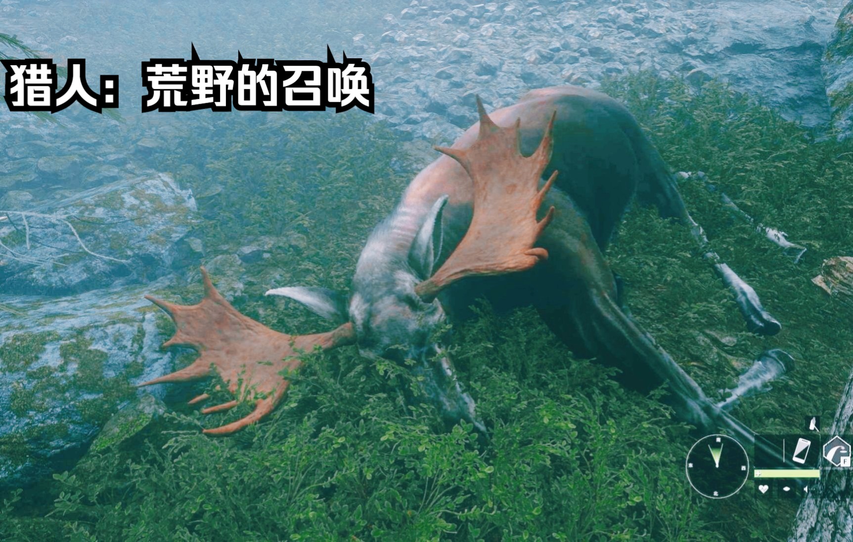 【时光】《猎人:荒野的召唤》 #11 路见不平拔枪相助 单人模式 追踪...