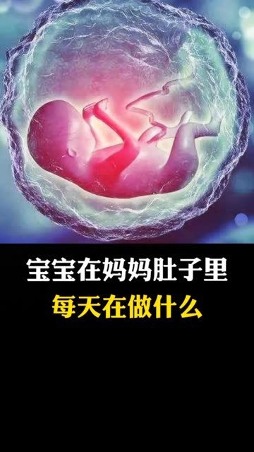 宝宝在妈妈肚子里,每天在做什么