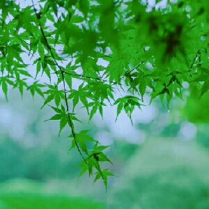 bili_56649935170 