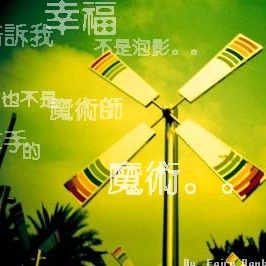 会爬树的小肥猪 