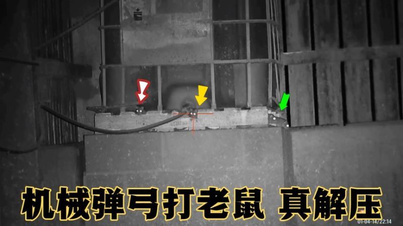 机械弹弓打老鼠,自带红外线瞄准器,只要被盯上小老鼠没个跑