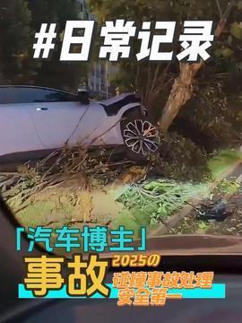 ...交通 #行车无线记录仪 #行车记录仪  感觉驾驶员出事前应该在玩手机?