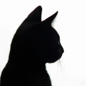 程序员黑猫 