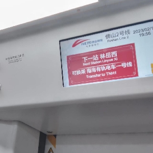逛中山公园的佛山人 